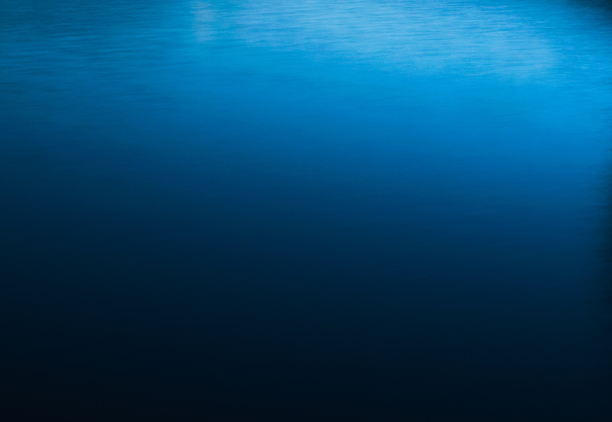 2/26-27/22 "The One & Only Fat Fin!" – Discovery Whale Watch